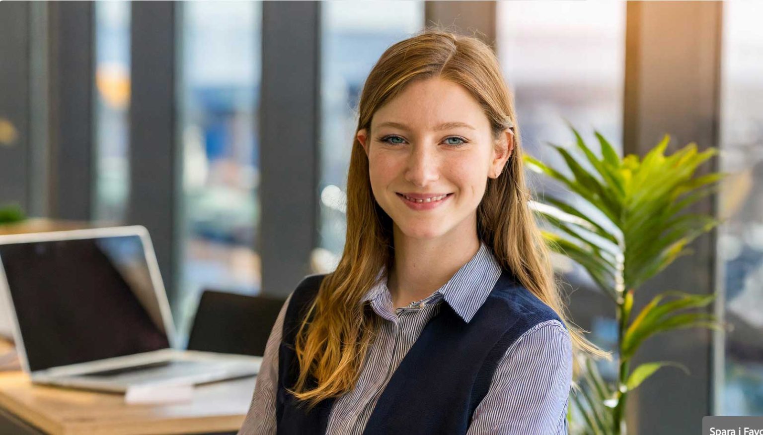 Riddermark bil AB - Marknadstrender